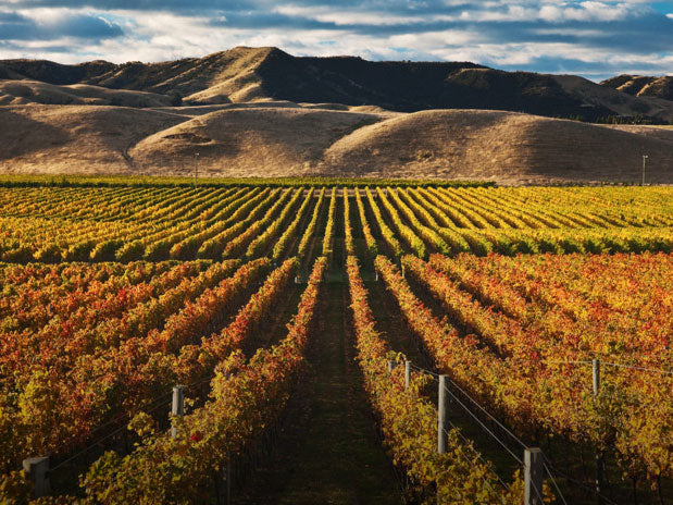 About Kim Crawford Wines | Kim Crawford Wines